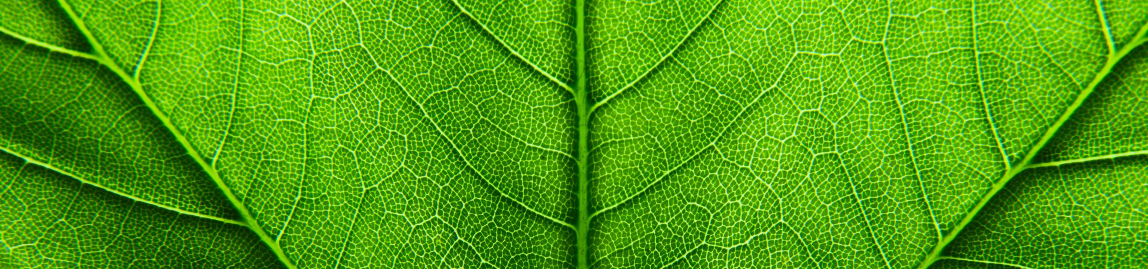 The Challenge to Investors: Climate Change and a Slower Energy ...