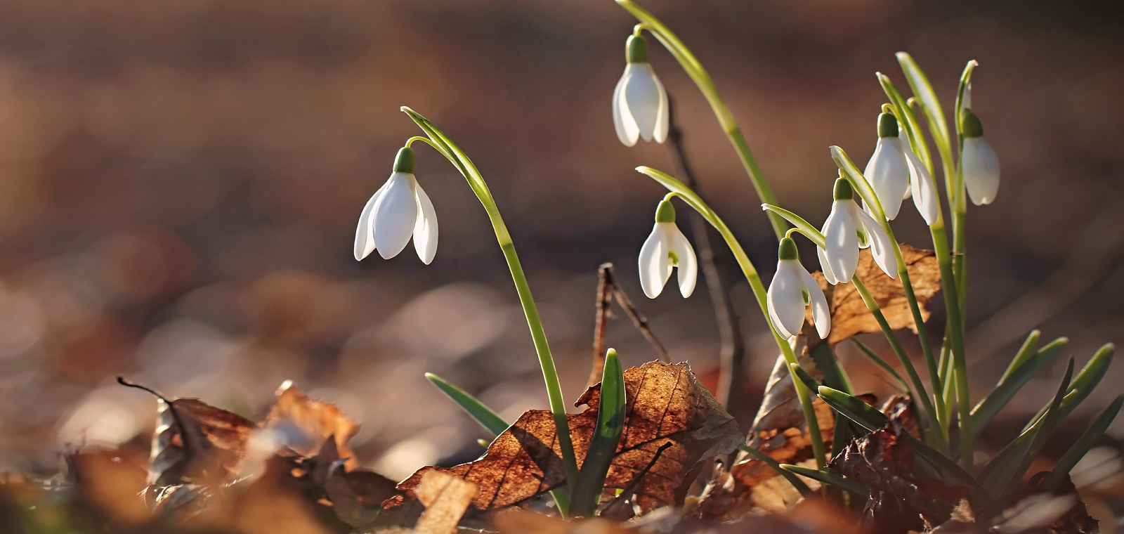 DC and Bonds: The End of the Affair...and a New Beginning | AB