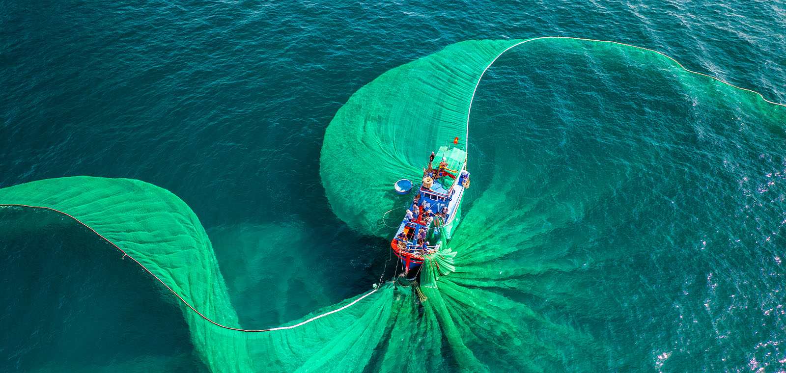 Fighting Modern Slavery in the Fishing and Finance Industries | AB