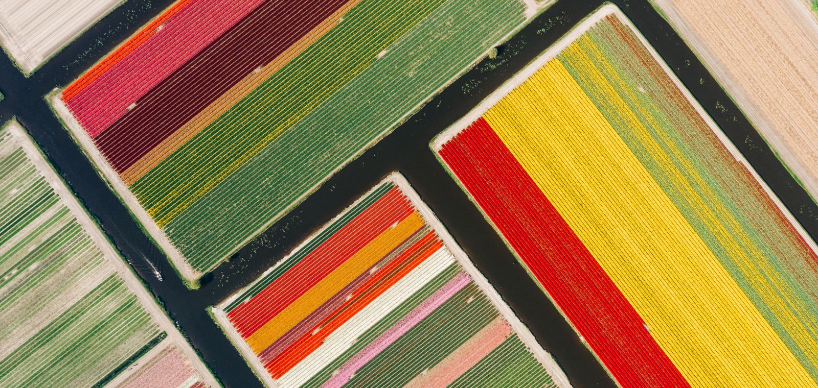Allocate with Intent: Active Equity Strategies for Changing Markets | AB
