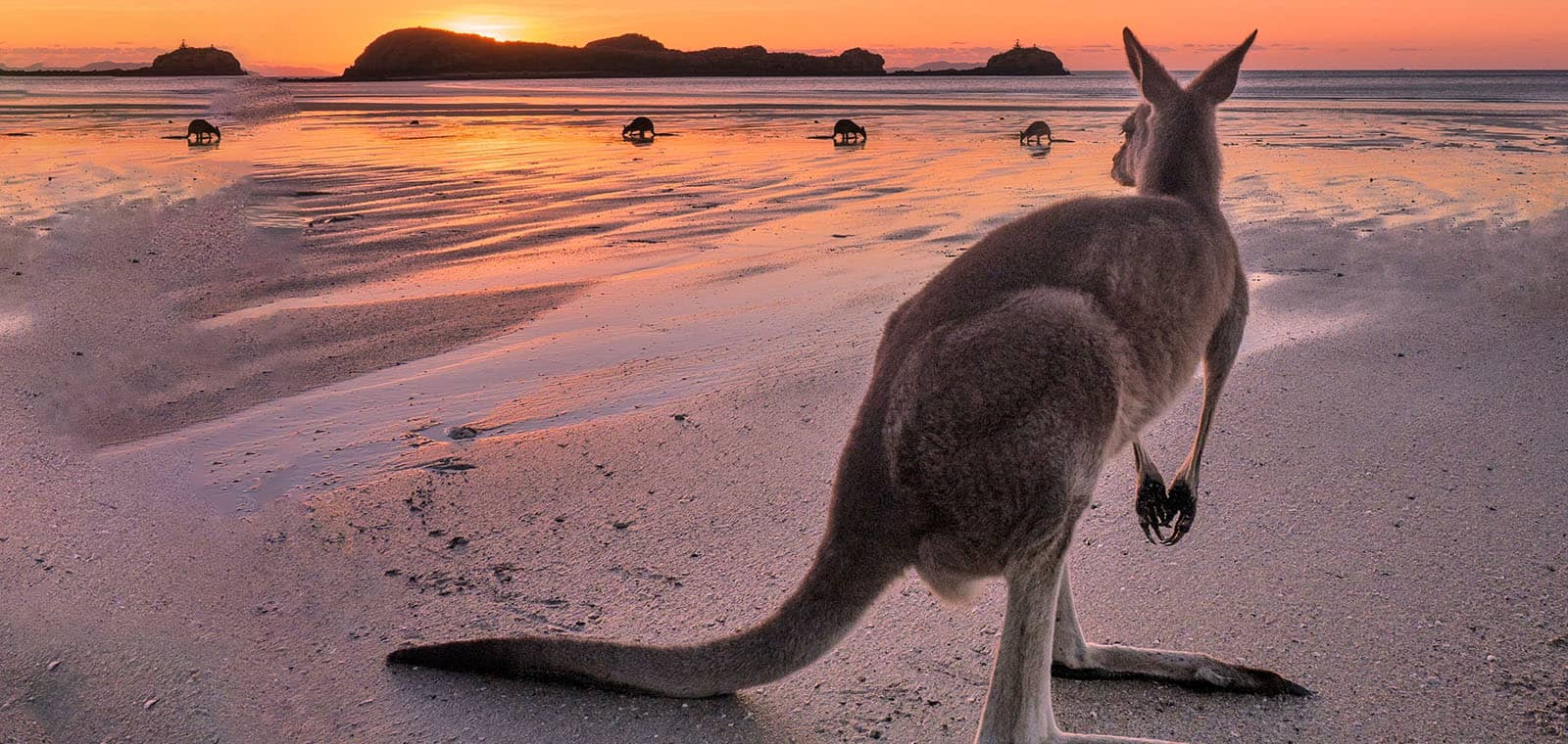 Climate Change Scenario Analysis-A Practical Guide for Equity Investors ...