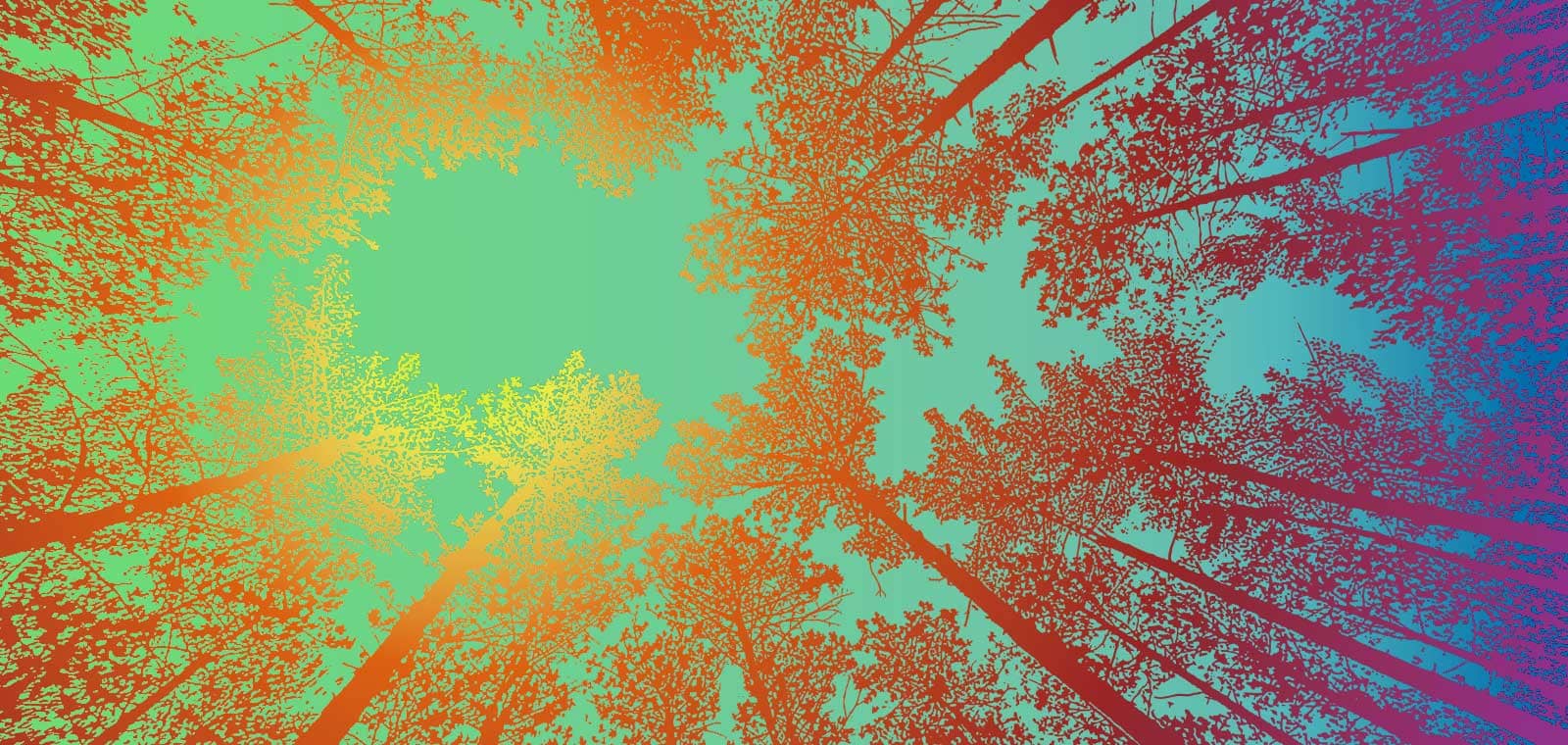 Broadening ESG Perspectives in European Equities | AB