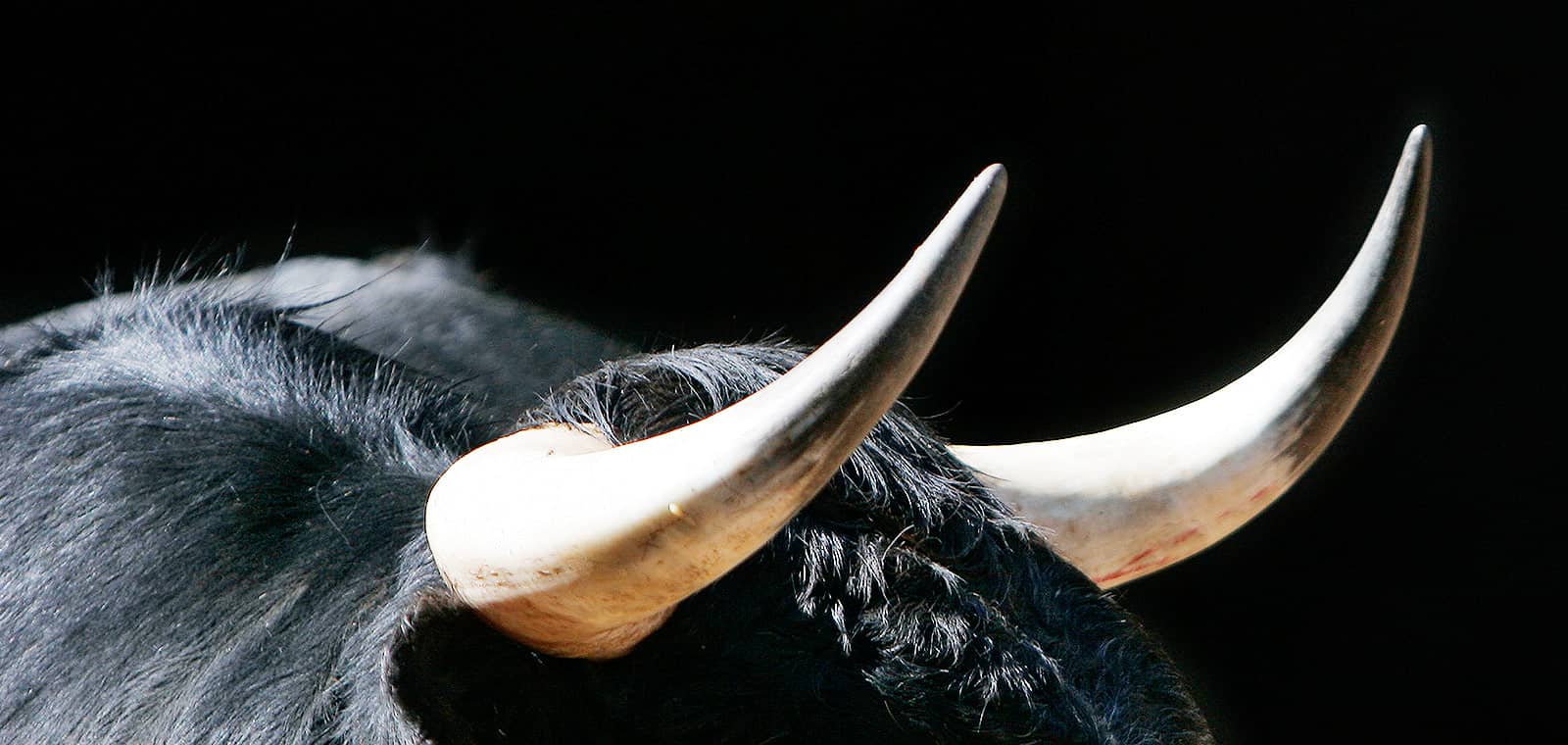 Will South Africa’s Ramaphosa Take the Bull by the Horns After the ...